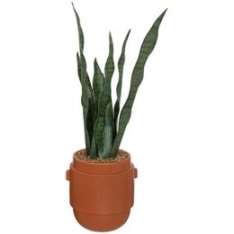 Atmosphera - Künstliche Pflanze Keramiktopf - H.70 cm Zimt