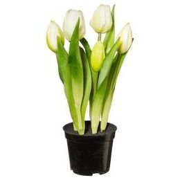Kunstpflanze Tulpe I in Weiß