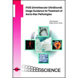 IVUS (IntraVascular UltraSound) Image Guidance for Treatment of Aorto-Iliac Pathologies - Jörg Teßarek, Angel Herrero Flores, Gebunden