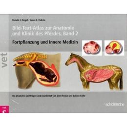 Bild-Text-Atlas zur Anatomie und Klinik des Pferdes.Bd.2 - Ronald J. Riegel, Susan E. Hakola, Gebunden