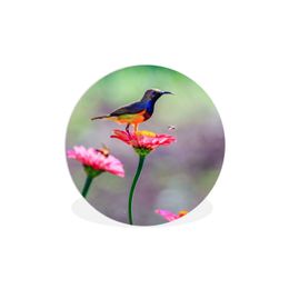 MuchoWow Gemälde Nahaufnahme eines Kolibris auf rosa Blüten