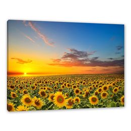 Pixxprint Leinwandbild Sonnenuntergang Sonnenblumen