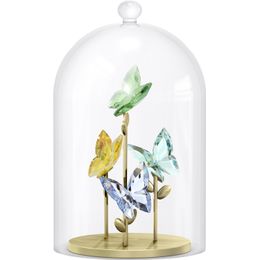 Swarovski Kristallfigur "Butterfly", mit Glasglocke, blau