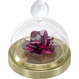 Swarovski Kristallfigur "Rose Glasglocke 5619223", pink