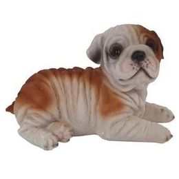 Dekofigur Bulldogge liegend 19 x 12 x 10,5 cm braun weiß