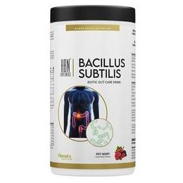 Bacillus Subtilis Biotic Gut Care Drink - Red Berry