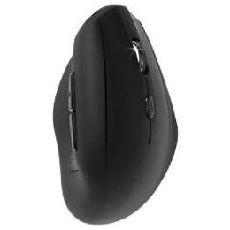 Viking Kabellose Ergonomische Optische Maus ERGO Für Rechtshänder USB-A Nano Receiver Schwarz