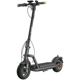 NAVEE E-Scooter N65i Electric Scooter, 20 km/h, mit Straßenzulassung, bis zu 65 km Reichweite, schwarz