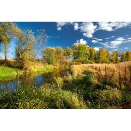 papermoon Fototapete "Fluss durch Feld" Tapeten Gr. B/L: 4,50 m x 2,80 m, Bahnen: 9 St., bunt Fototapeten