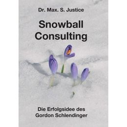 tredition Snowball Consulting - Max. S. Justice, Kartoniert (TB)