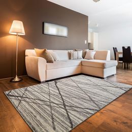 oKu-Tex Teppich Mercur, Rechteckig, Höhe: 11 mm, Teppich Mercur, Kurzflor, modernes Design, besonders weicher Flor, Grau