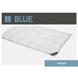 Daunenbettdecke Spessarttraum "Blue" Bettdecken Gr. B/L: 200 cm x 200 cm, warm, weiß Sommerbettdecke
