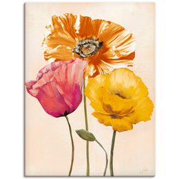 Wandbild Artland "Bunte Mohnblumen II" Bilder Gr. B/H: 90 cm x 120 cm, Leinwandbild Blumenbilder Hochformat, 1 St., bunt Kunstdrucke