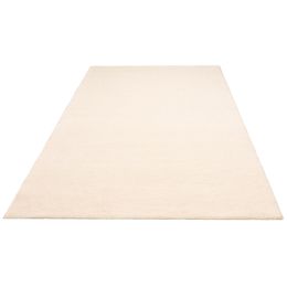 Wollteppich Andas "Malia" Teppiche Gr. B/L: 60 cm x 90 cm, 24 mm, 1 St., beige (natur) Schurwollteppiche