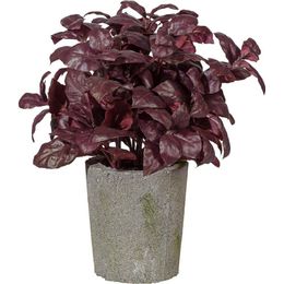 Kunstpflanze Basilikumbusch Basilikum, Creativ green, Höhe 30 cm, lila