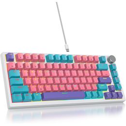 SOLIDEE RGB-Hintergrundbeleuchtung Gaming-Tastatur (mit Hot-Swap-Funktion