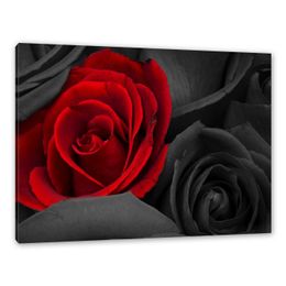 Pixxprint Leinwandbild romantische rote Rosen