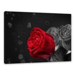 Pixxprint Leinwandbild rote Rosen zum Valentinstag