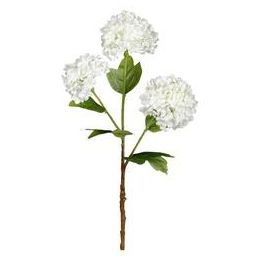 Kunstpflanze Schneeballzweig I in Weiß