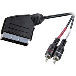 SP-7870676 scart / Cinch Audio Anschlusskabel [1x SCART-Stecker - 2x Cinch-Steck - SpeaKa Professional