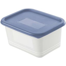 Gefrierdosen-Set Domino 4 x 0,75 l blau Frischhaltedose Kühlschrankdose Vorratsdose - Rotho