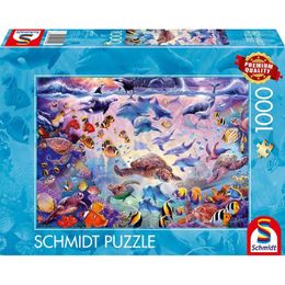 Schmidt Spiele Majestät des Ozeans