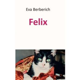 tredition Felix - Eva Berberich, Kartoniert (TB)