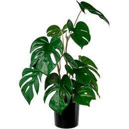 Künstliche Zimmerpflanze Split-Philodendron-Pflanze Sukkulente, Creativ green, Höhe 50 cm, grün