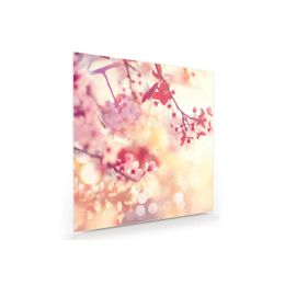 Primedeco Glasbild Wandbild Quadratisch Natur Szene im Frühling mit Aufhängung