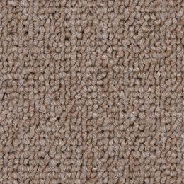 Bodenmeister Teppichboden "Schlingenteppich Riga" Teppiche Wohnzimmer, Schlafzimmer, Kinderzimmer, Breite 400500 cm Gr. B/L: 400 cm x 200 cm, 6 mm, 1 St., beige (dunkelbeige) Teppichboden