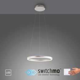 Pendelleuchte JUST LIGHT "RITUS" Lampen Gr. Ø 3,9 cm, grau (aluminiumfarben) LED Hängeleuchten und Pendelleuchten