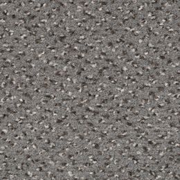 Vorwerk Teppichboden "Veloursteppich Passion 1006 (Riva)" Teppiche Gr. B/L: 500 cm x 800 cm, 6,7 mm, 1 St., grau (grau braun) Teppichboden