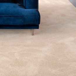 ANDIAMO Teppichboden "Velours Levin" Teppiche Gr. B/L: 500 cm x 450 cm, 10 mm, 1 St., beige (hellbeige) Teppichboden