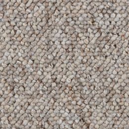 Bodenmeister Teppichboden "Schlingenteppich Korfu" Teppiche Gr. B/L: 300 cm x 200 cm, 7,5 mm, 1 St., beige (beige weiß) Teppichboden