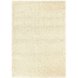 Hochflor-Teppich OCI DIE TEPPICHMARKE "Lobby Shaggy" Teppiche Gr. B/L: 160 cm x 230 cm, 52 mm, 1 St., beige (creme) Esszimmerteppiche