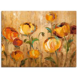 Wandbild Artland "Freudige Ranunkel" Bilder Gr. B/H: 120 cm x 90 cm, Leinwandbild Blumen Querformat, 1 St., orange Kunstdrucke