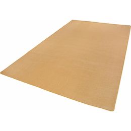 Sisalteppich ANDIAMO "Sisal" Teppiche Gr. B/L: 200 cm x 300 cm, 5 mm, 1 St., beige Sisalteppich Teppich Esszimmerteppiche Teppiche