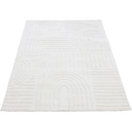 Teppich CarpetFine "Holly 4 - Soft Touch Microfaser Teppich" Teppiche Gr. B/L: 240 cm x 340 cm, 12 mm, 1 St., beige Esszimmerteppiche