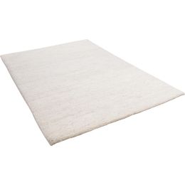 Wollteppich Theko "Maloronga Uni" Teppiche Gr. B/L: 70 cm x 140 cm, 24 mm, 1 St., beige Schurwollteppiche
