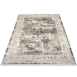 Teppich Musterring "COLORADO CLASSIC" Teppiche Gr. B/L: 67 cm x 130 cm, 5 mm, 1 St., beige (beige, grau) Esszimmerteppiche