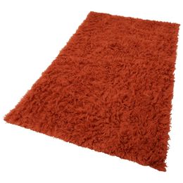 Böing Carpet Wollteppich BÖING CARPET "Flokati 1500 g" Teppiche Gr. B/L: 160 cm x 230 cm, 60 mm, 1 St., braun (cognac) Schurwollteppiche