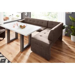 Eckbank exxpo - SOFA FASHION "Barista" Sitzbänke Gr. B/H/T: 157 cm x 82 cm x 245 cm, Lu x us-Microfaser, langer Schenkel links, braun (brown) Eckbänke