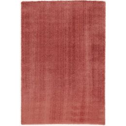 Hochflor-Teppich OCI DIE TEPPICHMARKE "Soft Dream" Teppiche Gr. B/L: 240 cm x 340 cm, 30 mm, 1 St., rot (rosenholz) Esszimmerteppiche