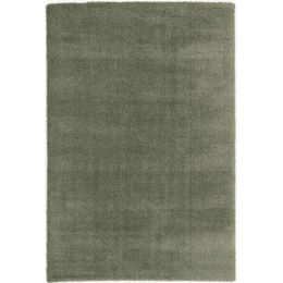 Hochflor-Teppich OCI DIE TEPPICHMARKE "Soft Dream" Teppiche Gr. B/L: 120 cm x 170 cm, 30 mm, 1 St., grün (olivgrün) Esszimmerteppiche