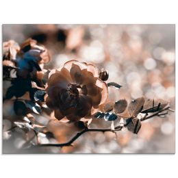 Glasbild Artland "Rose Zweig" Bilder Gr. B/H: 80 cm x 60 cm, Glasbild Blumen Querformat, 1 St., silberfarben Glasbilder