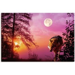 Wandbild Artland "Wolf im Vollmond" Bilder Gr. B/H: 120 cm x 80 cm, Leinwandbild Wolfbilder Querformat, 1 St., lila Kunstdrucke