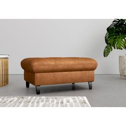 Sit & More Stauraumhocker SIT&MORE "Maggiore" Hocker Gr. B/H/T: 102 cm x 48 cm x 67 cm, Lu x us-Microfaser, mit Stauraum-Fußfarbe: schwarz matt, braun (cognac) Hocker mit Stauraum