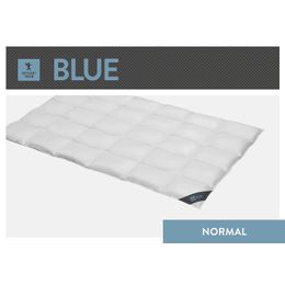 Daunenbettdecke Spessarttraum "Blue" Bettdecken Gr. B/L: 200 cm x 220 cm, normal, weiß Sommerbettdecke