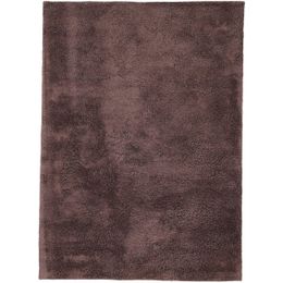 Hochflor-Teppich CarpetFine "Silky" Teppiche Gr. B/L: 160 cm x 230 cm, 20 mm, 1 St., braun Esszimmerteppiche