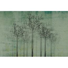 ARCHITECTS PAPER Fototapete "Atelier 47 Trees Artwork 2" Tapeten Vlies, Wand, Schräge, Decke Gr. B/L: 4 m x 2,7 m, grün (dunkelgrün, schwarz, hellgrün) Fototapeten